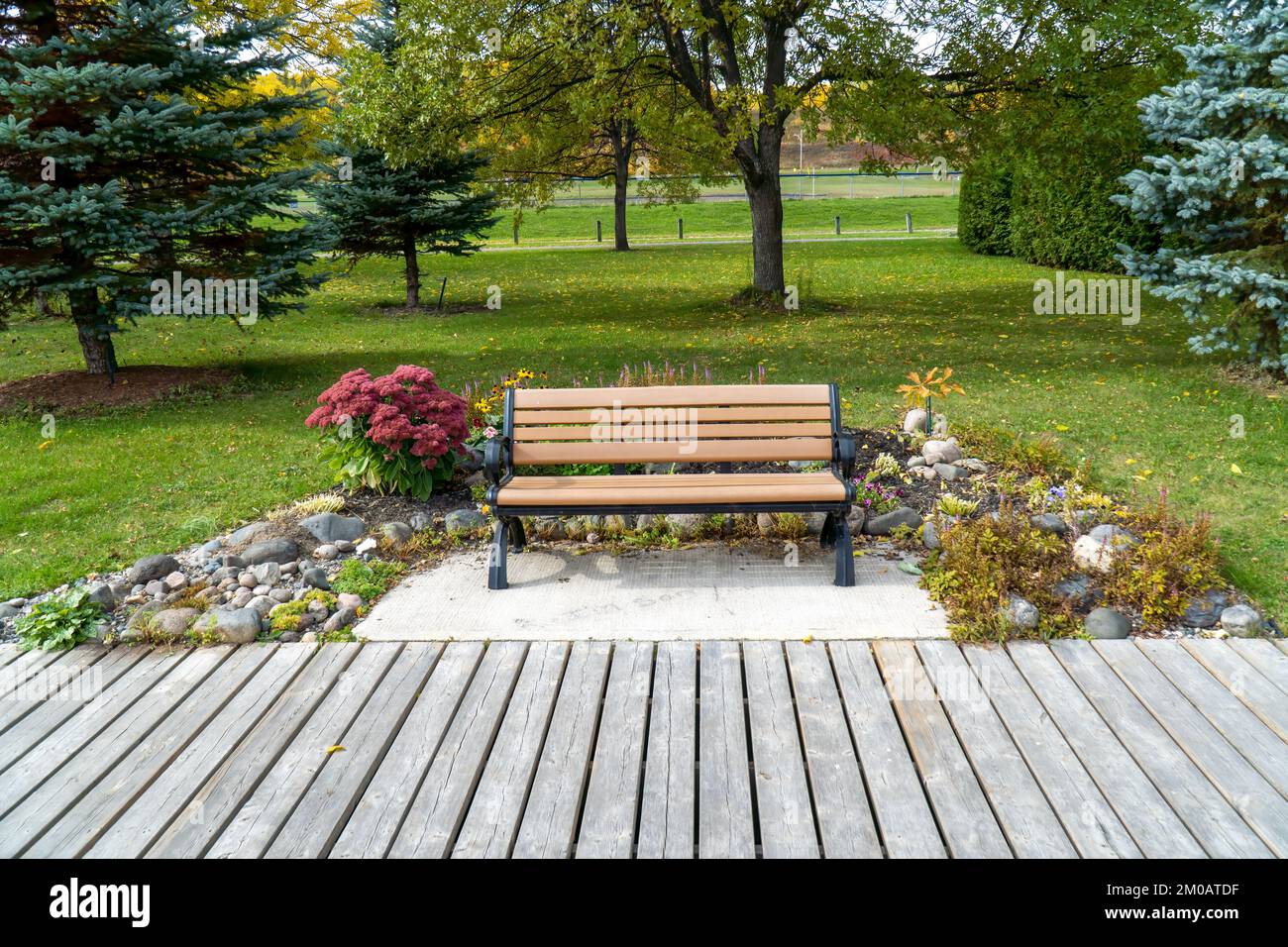 bench in a park by a walking trail Stock Photo - Alamy