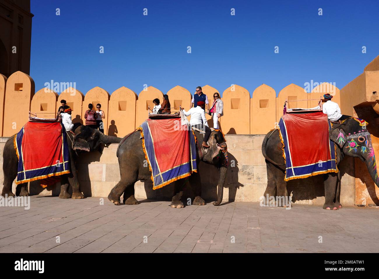 Indian Mahout rides a painted elephant in the Historical Amer Fort in ...