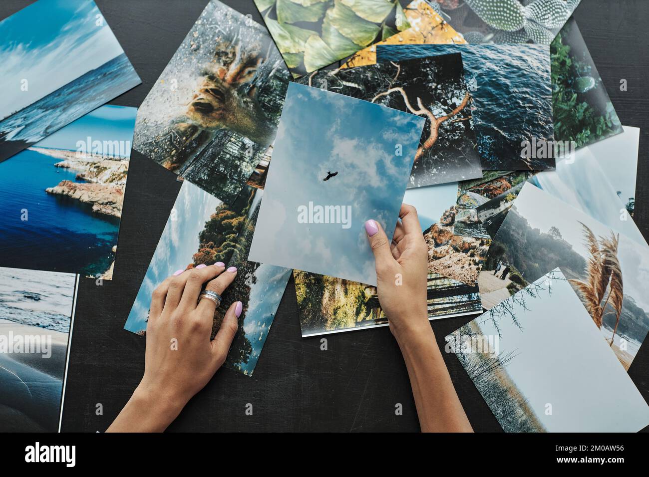 Magazine editor choosing photos for new issue, view from above Stock ...