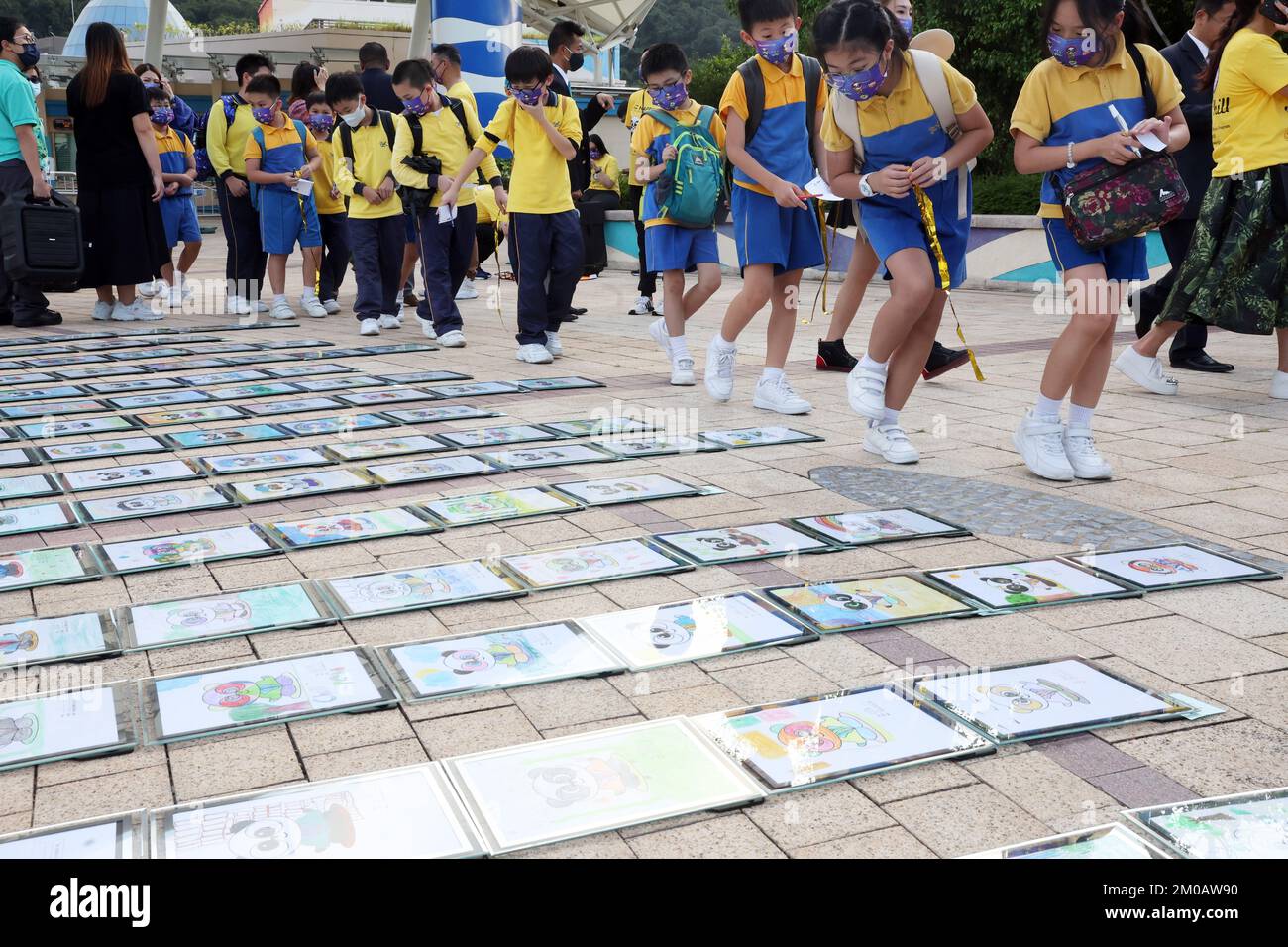 The largest display of picture frames to made a World Guinness record ...