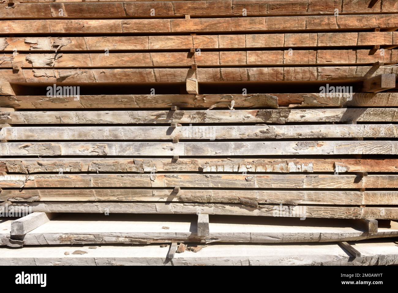 wooden logs cut into boards photo by the bark part, exterior Stock ...