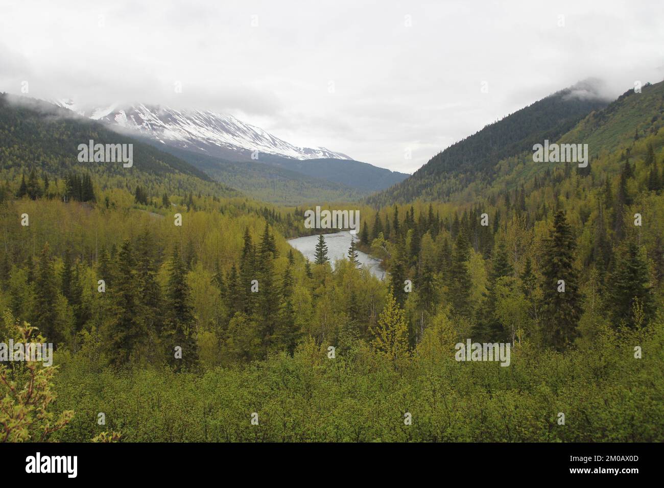 Landscape river evergreen forest hi-res stock photography and images ...
