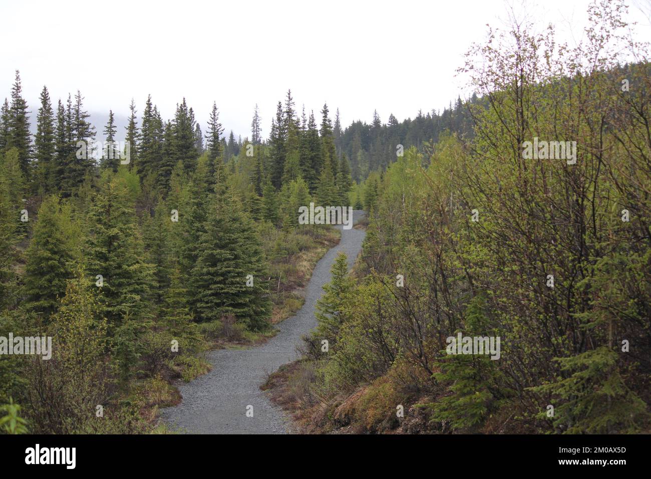 Gravel mountain path lined hi-res stock photography and images - Alamy