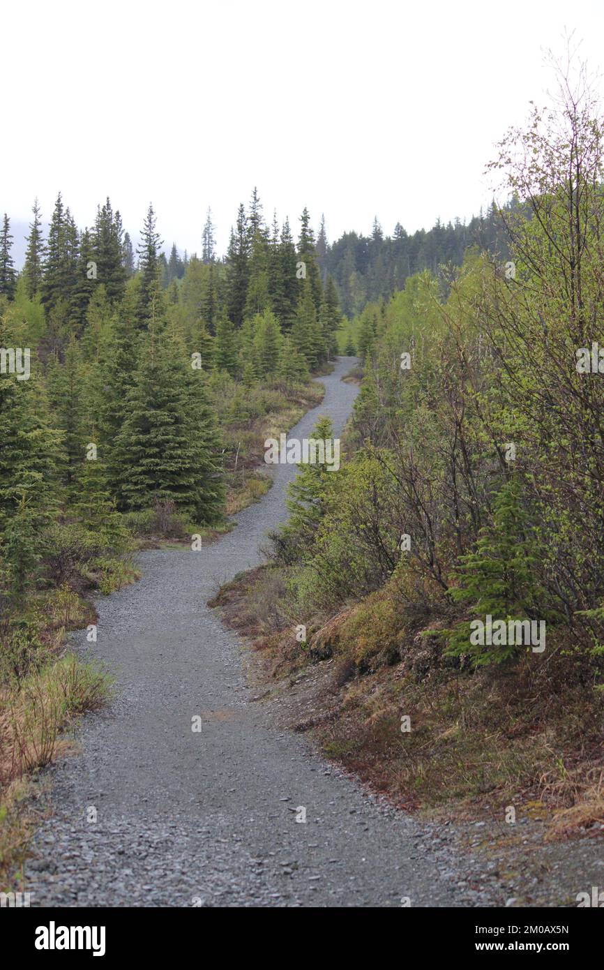 Gravel mountain path lined hi-res stock photography and images - Alamy