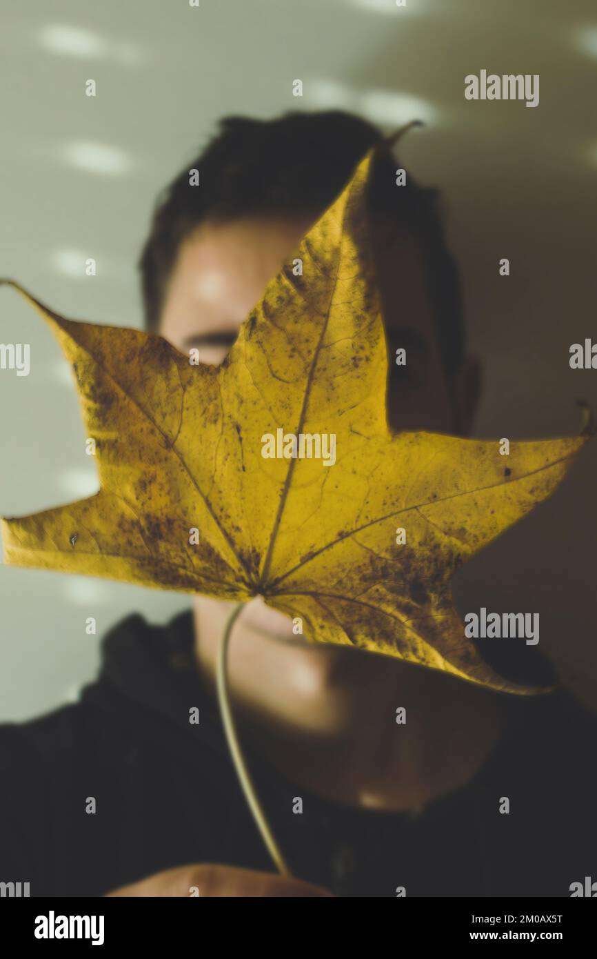 Boy covering his face with a dry leaf Stock Photo - Alamy