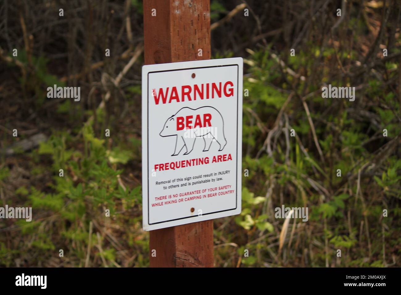 Grizzly bear warning sign hi-res stock photography and images - Alamy