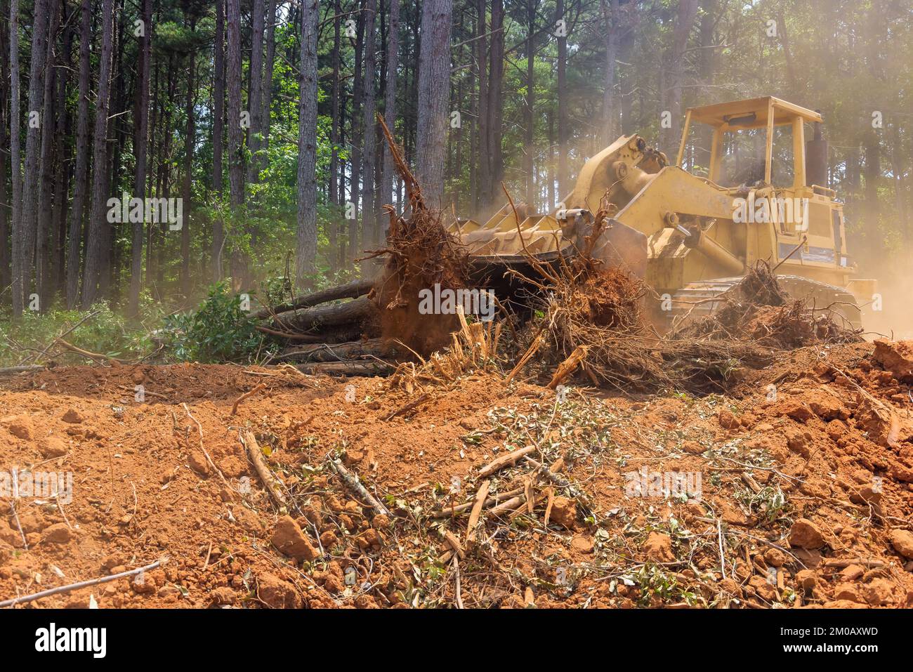 Working with tractor during deforestation landscaping for preparation ...