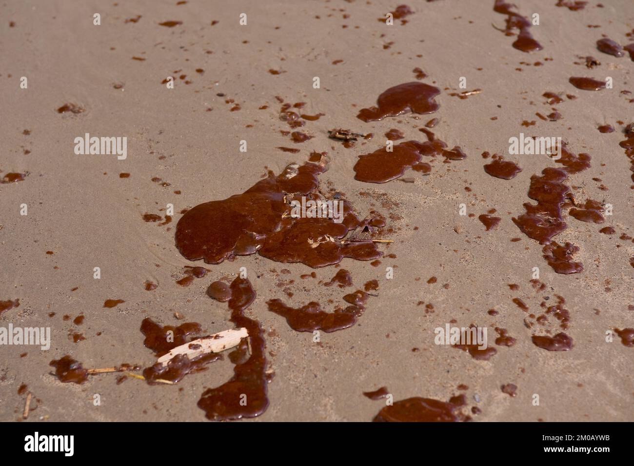 Office of the Administrator (Lisa P. Jackson) - Grand Isle (BP Oil ...