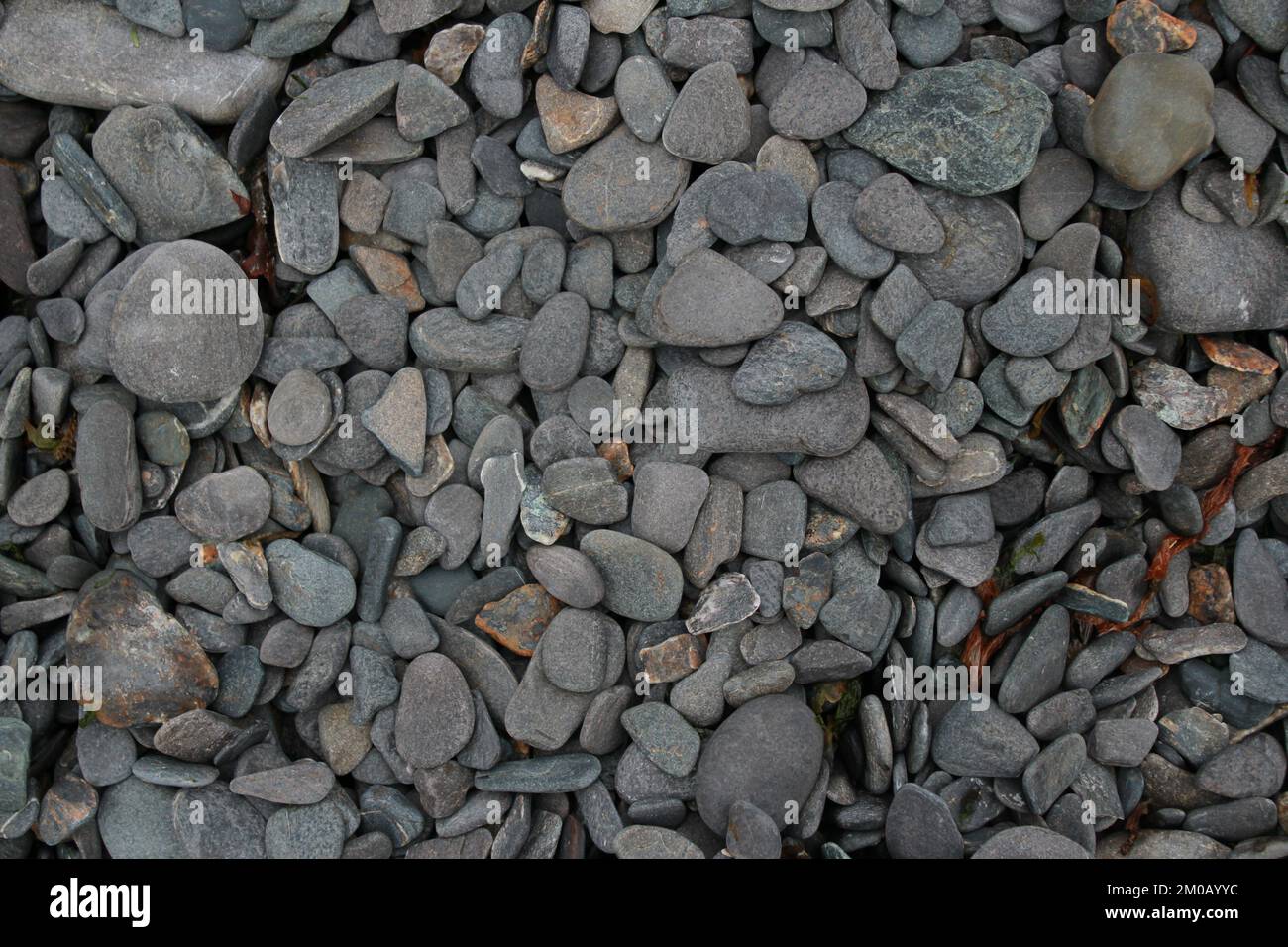 River rocks that are dry Stock Photo - Alamy