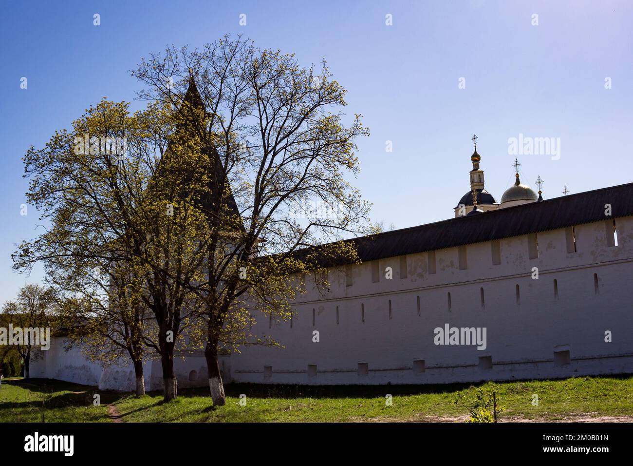 The outer wall of the Pafnuty-Borovsky Monastery with trees. Borovsk ...