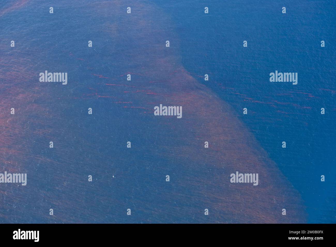 Office of the Administrator (Lisa P. Jackson) - Various Images (BP Oil ...