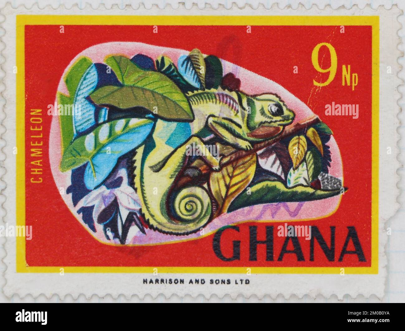 Photo of a postage stamp from Ghana Chameleon reptile Definitives ...