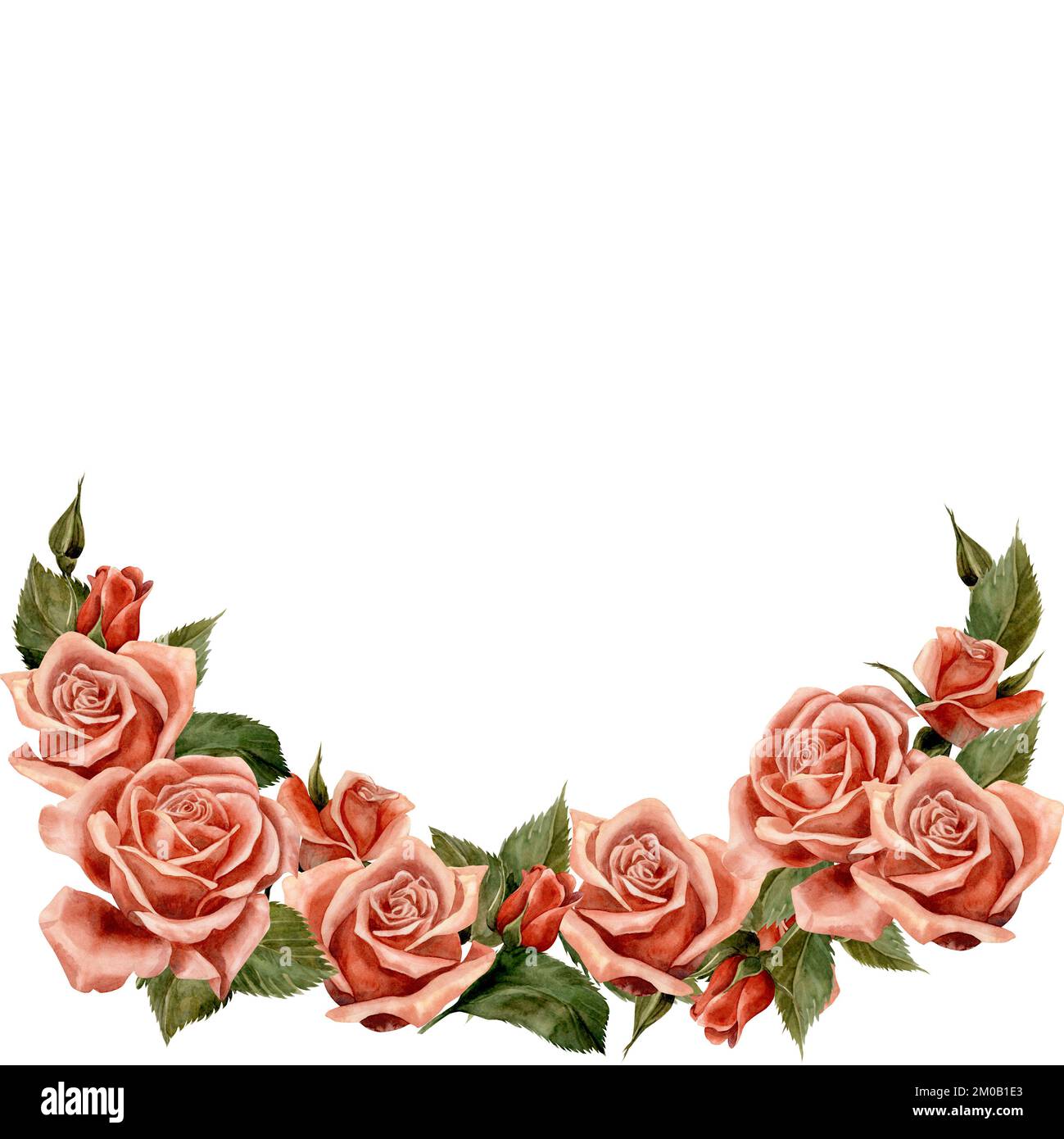 Rose. Frame. Watercolor. Illustration for clipart. Designed for flower ...