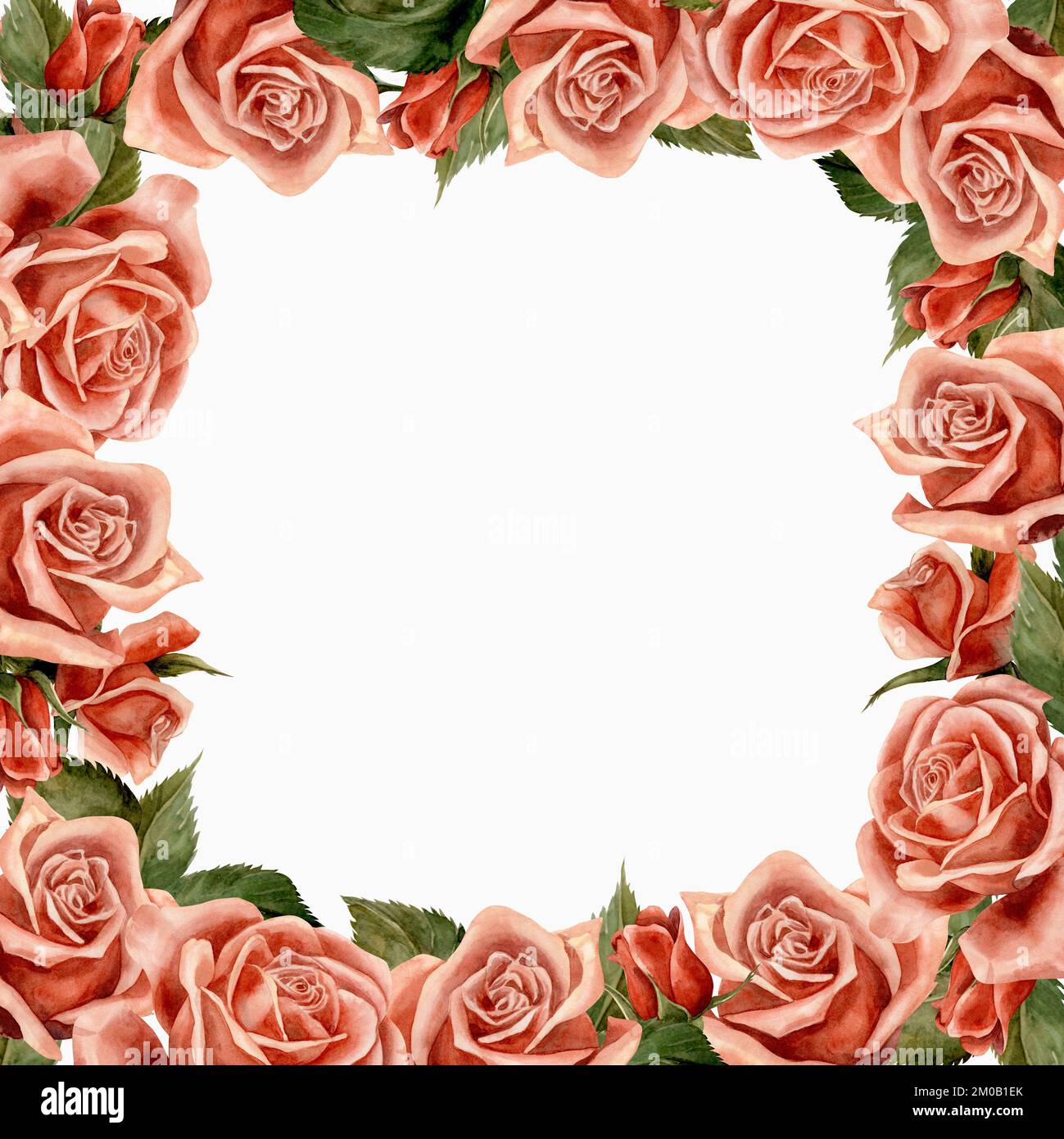 Rose. Frame. Watercolor. Illustration for clipart. Designed for flower ...