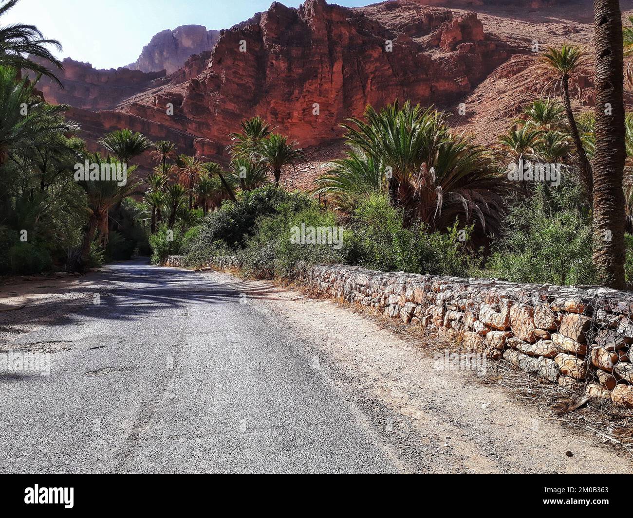 Ait Mansour oasis, Tafraout city ( in South Morocco Stock Photo - Alamy