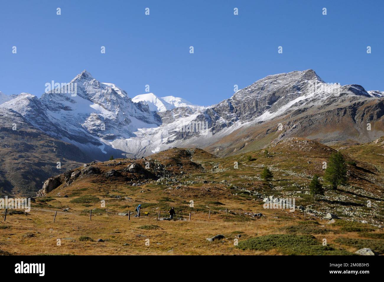 Tourist attraction: Trekking in the Swiss Alps on Bernina Hospitz in ...