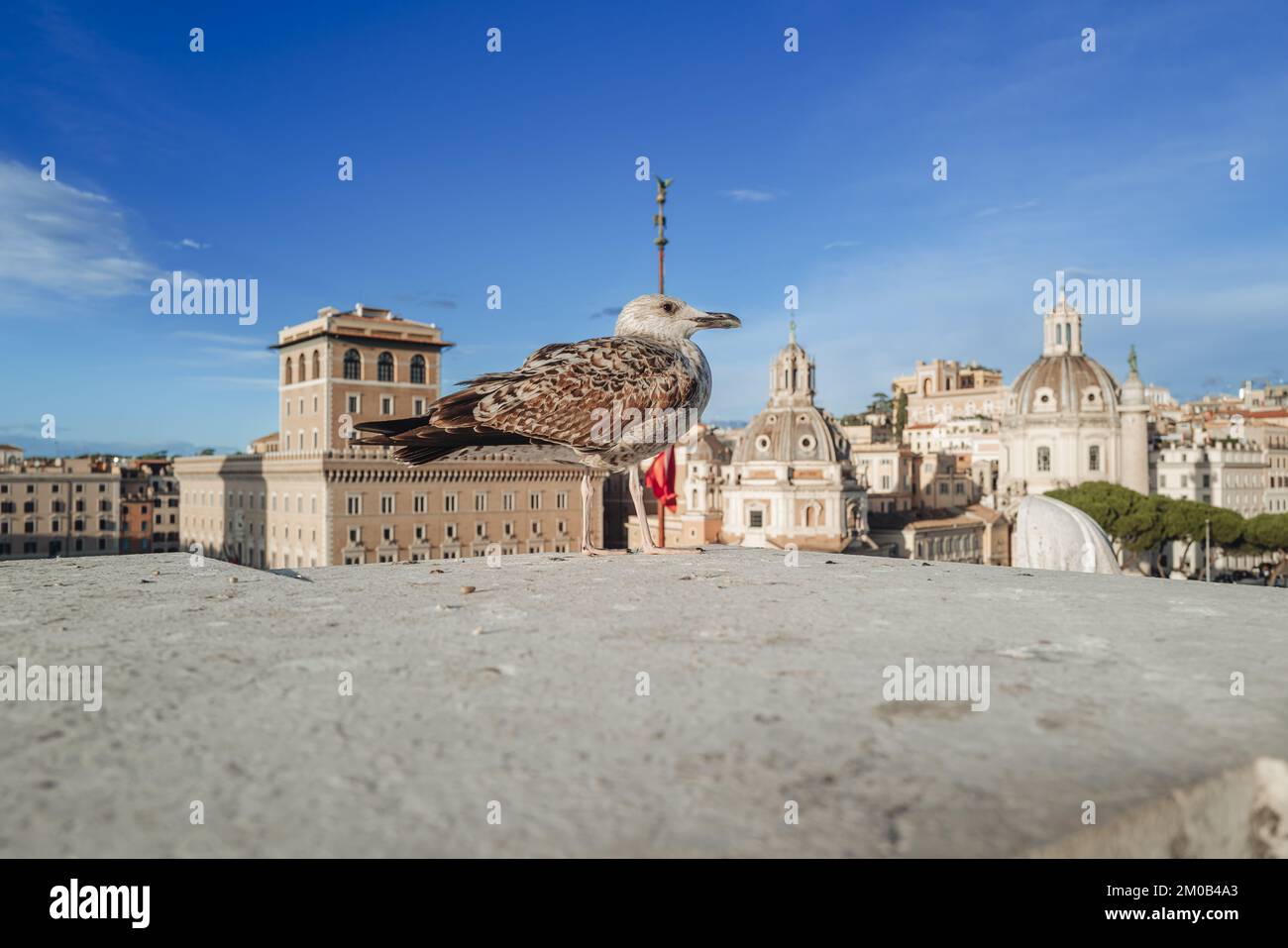 Birds on the top of Altare della Patria in Rome Stock Photo - Alamy