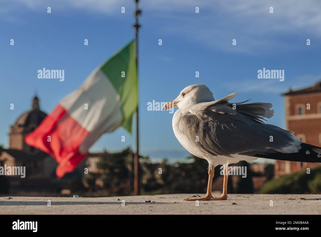 Birds on the top of Altare della Patria in Rome Stock Photo - Alamy