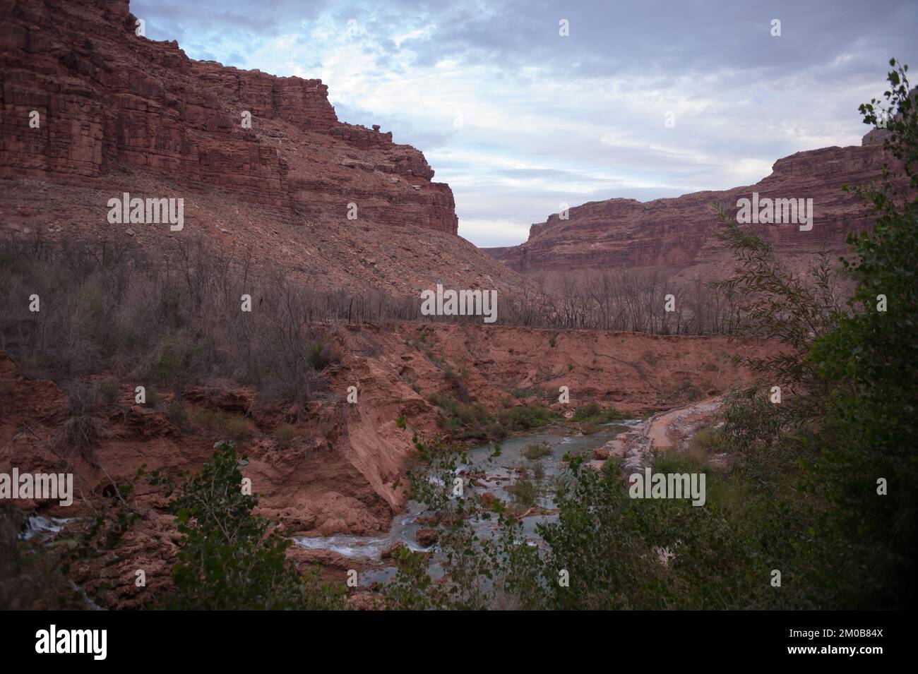 Office of the Administrator - Native Americans in Arizona - image of ...