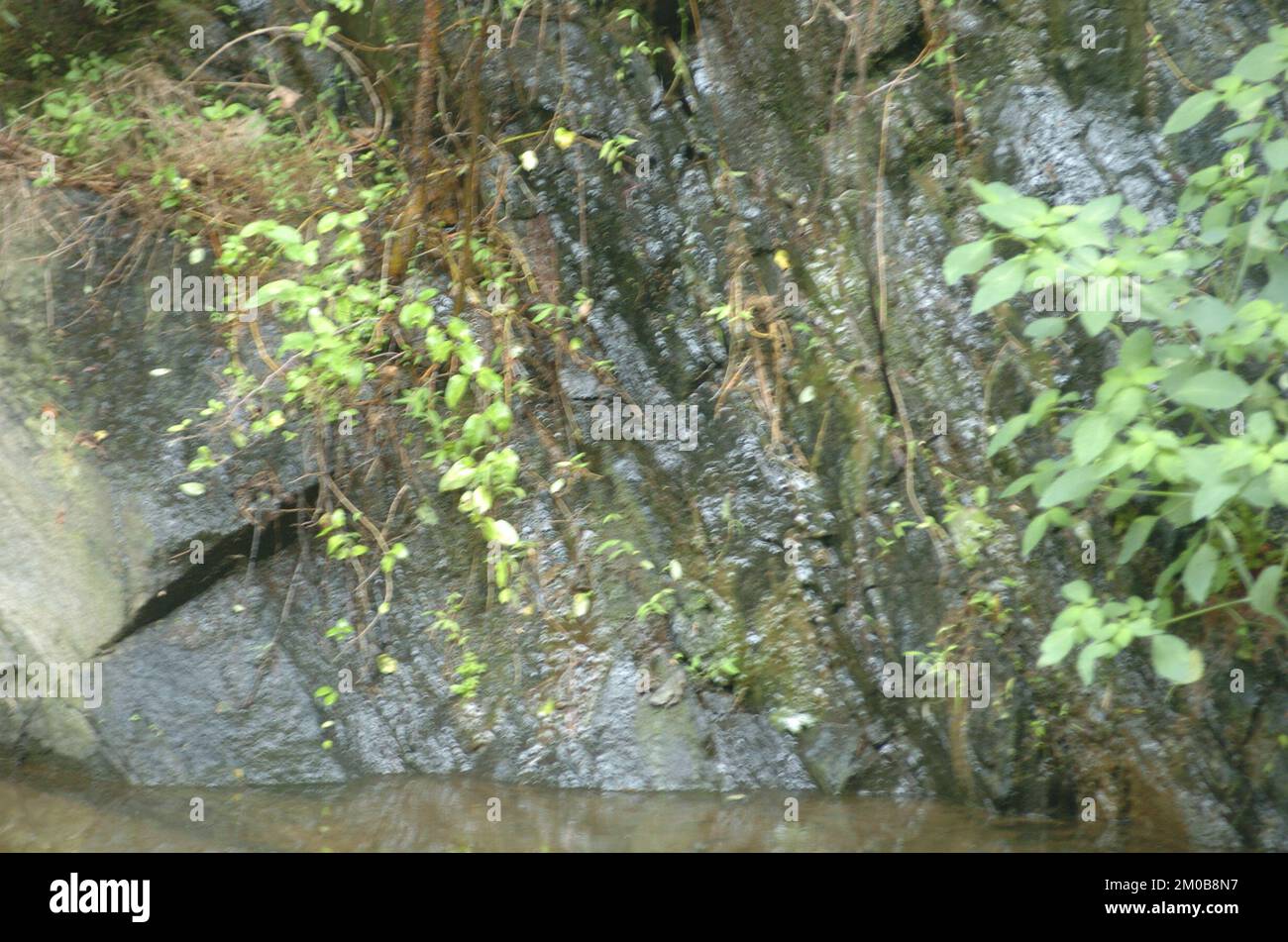 Park pic and student photo op, Claudia McMurphy , Environmental ...