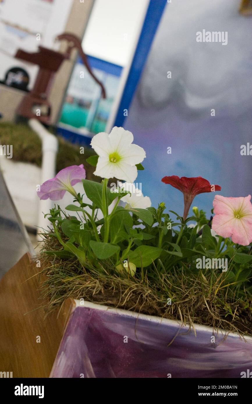 5th Annual National Sustainable Design Expo, Environmental Protection ...