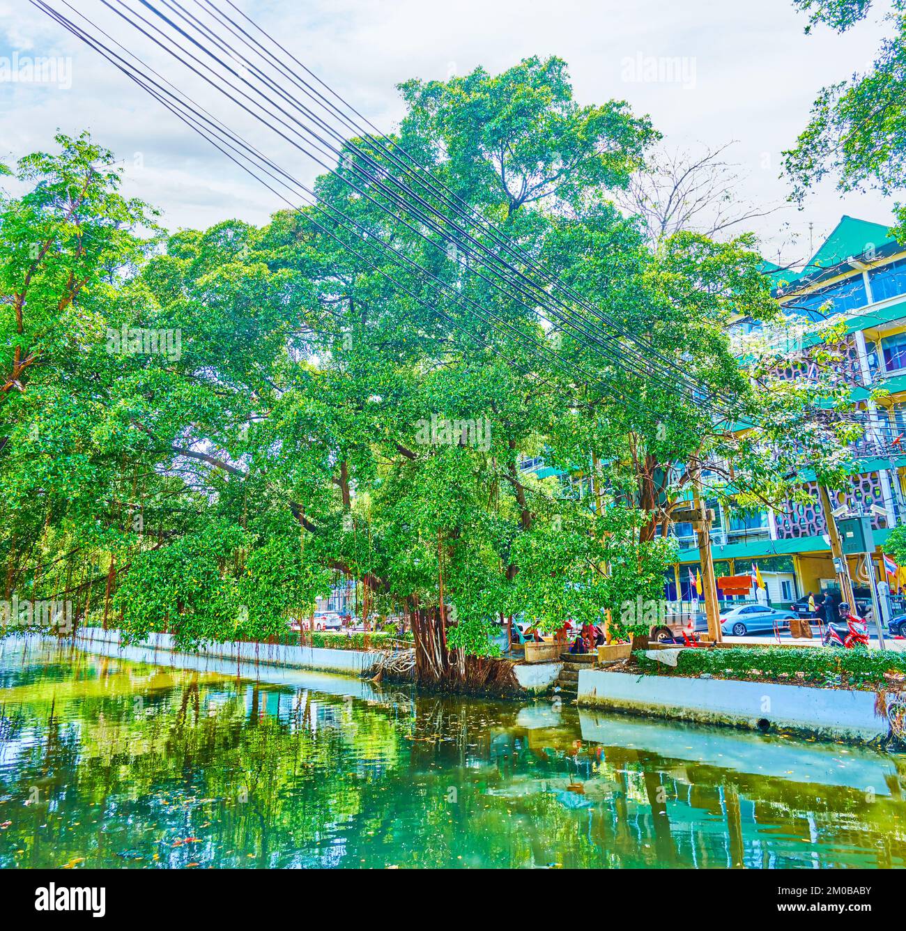 Lush park bangkok hi-res stock photography and images - Alamy