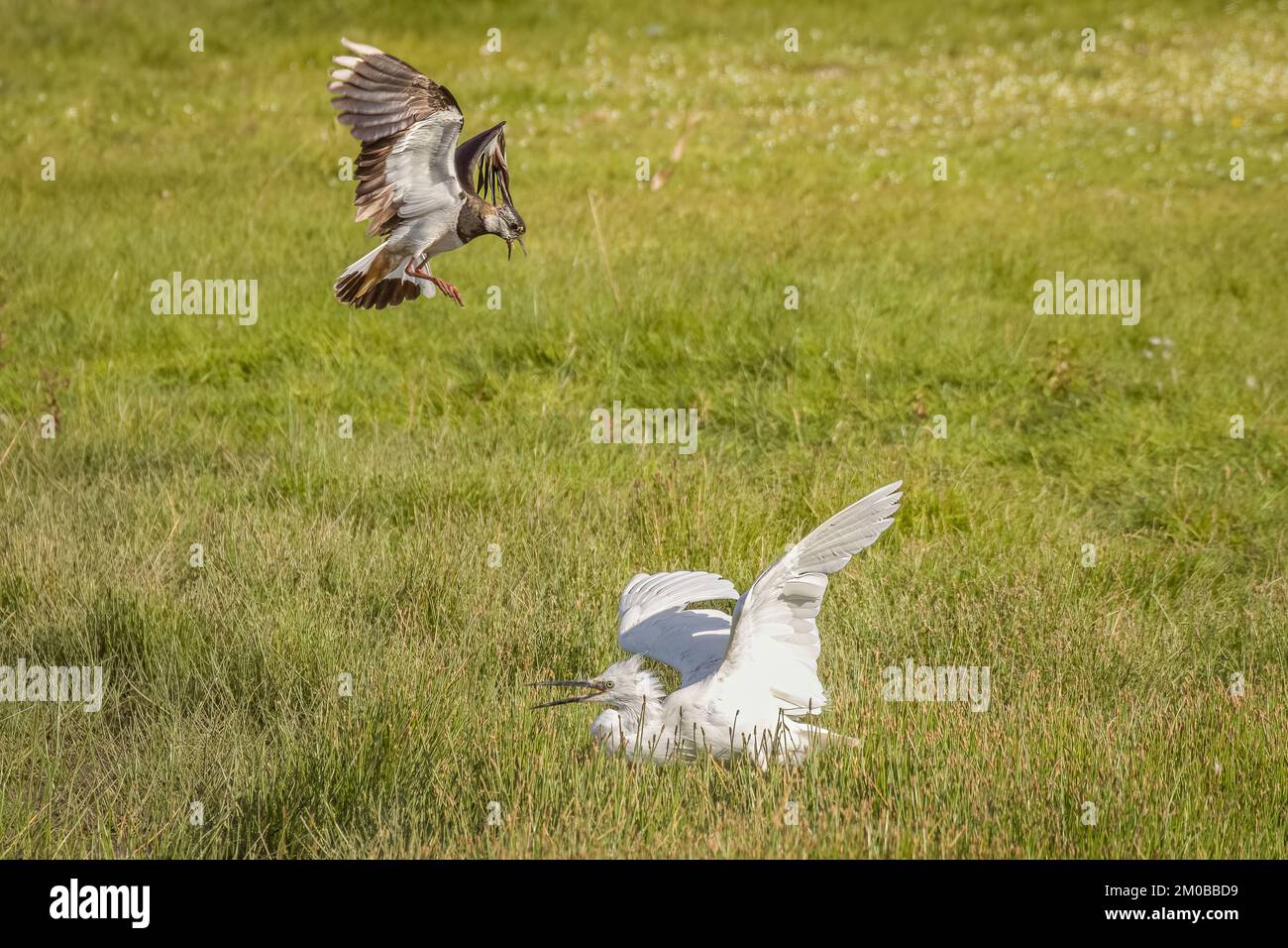 Water matrix hi-res stock photography and images - Alamy