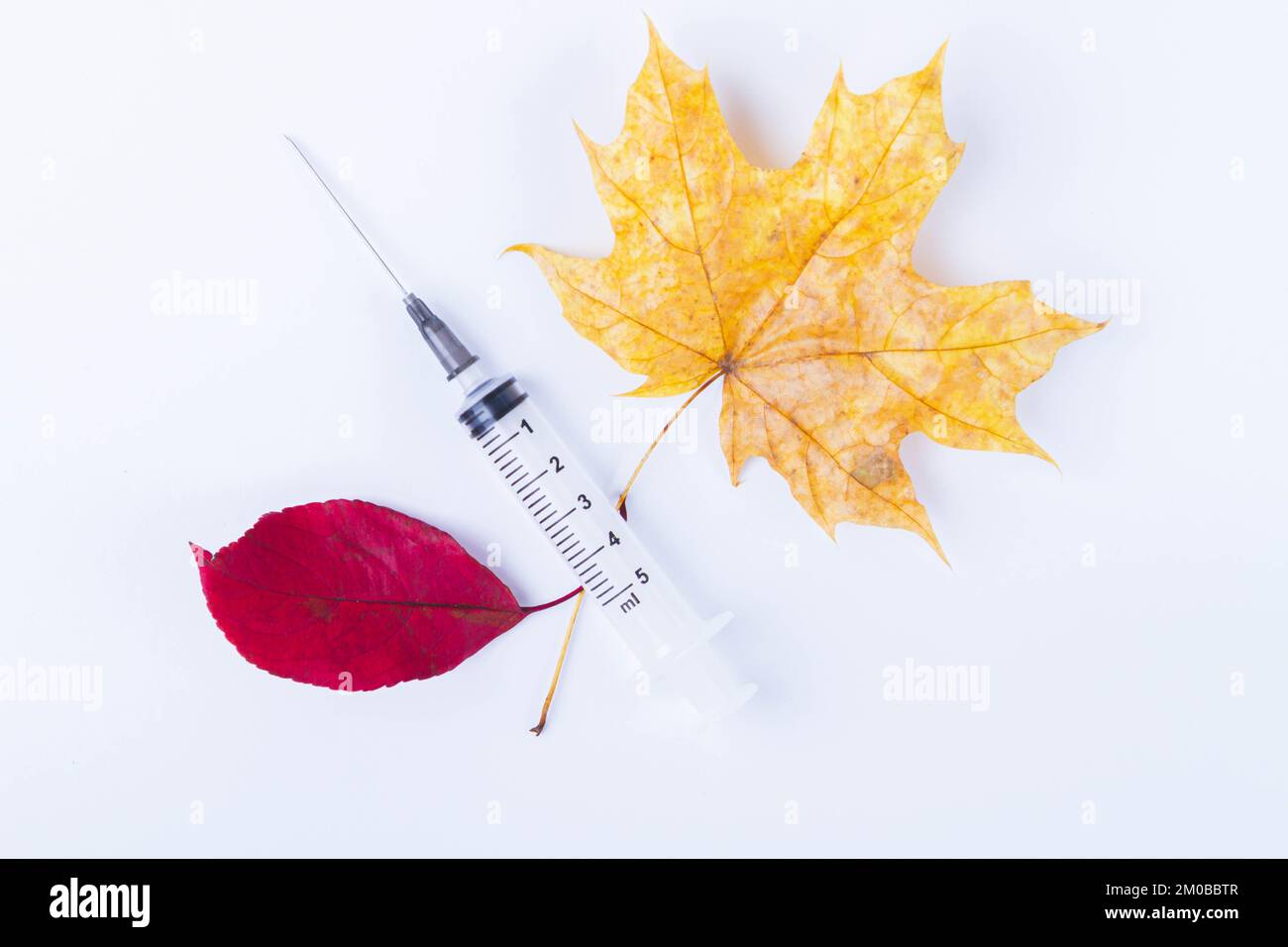 Autumn maple leaf and syringe with vaccine on white background ...