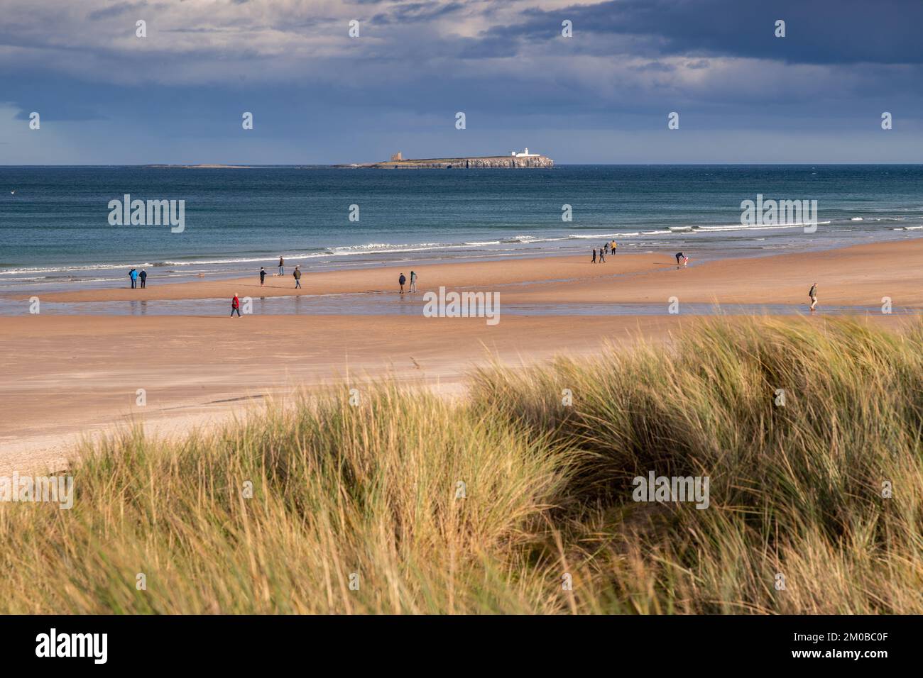 Bamburgh beach on the east coast of Northumberland, England Stock Photo ...