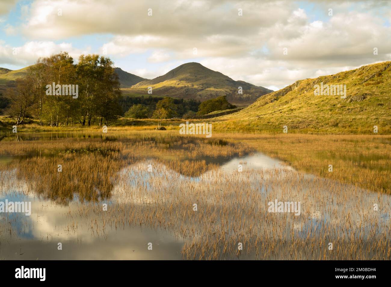 Coniston Old Man Reflected in Kelly Hall Tarn English Lake District ...