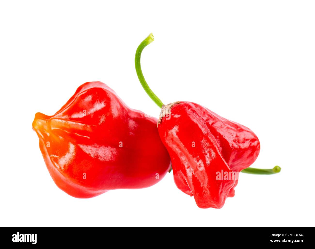 Ripe red chili peppers isolated on a white background. Capsicum ...