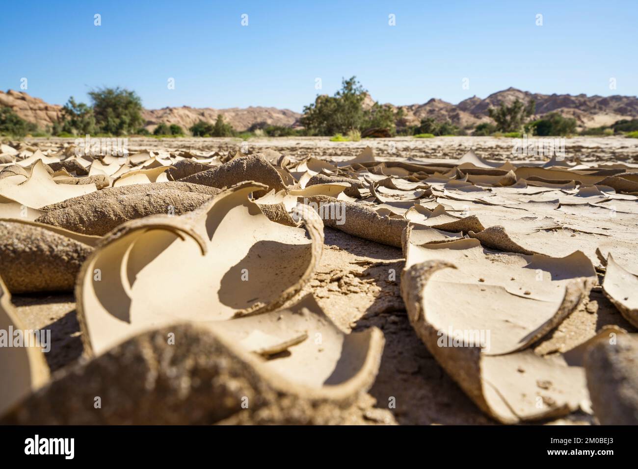 Dried earth mud cracks in Swakop River bed. Landscape image displays ...