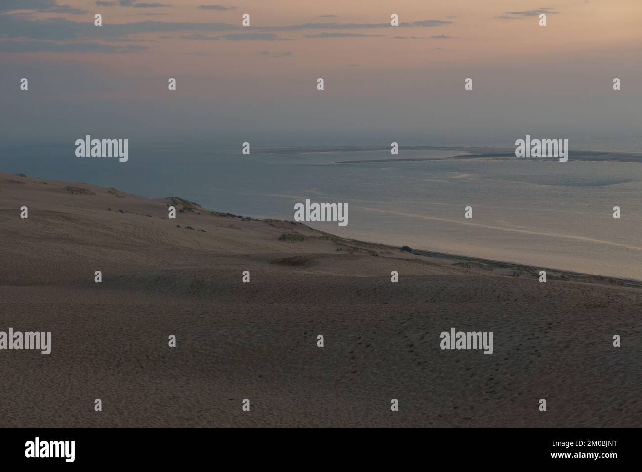 lone grass in front of sea on dune du Pilat, the biggest sand dune in ...