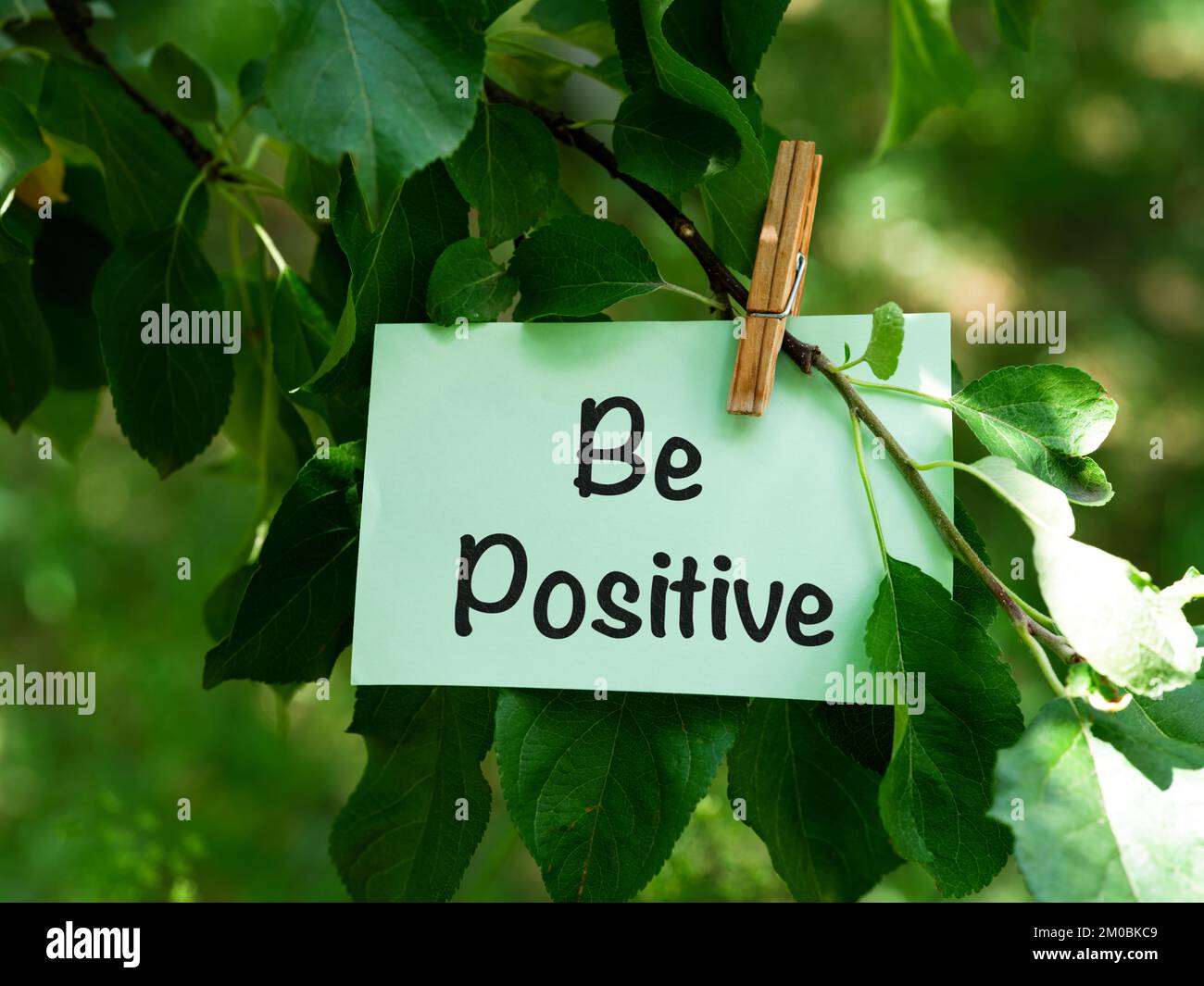 A green paper note with words Be Positive hanging on a tree branch ...