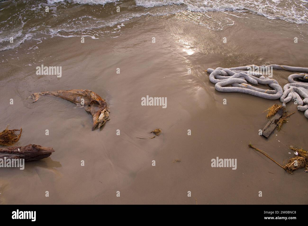 Oil spill soil recovery hi-res stock photography and images - Alamy