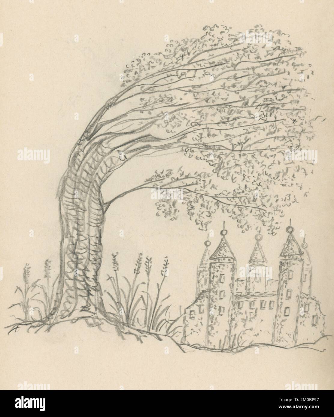 Drawing of a tree swaying in the wind and a castle in the background Stock Photo - Alamy