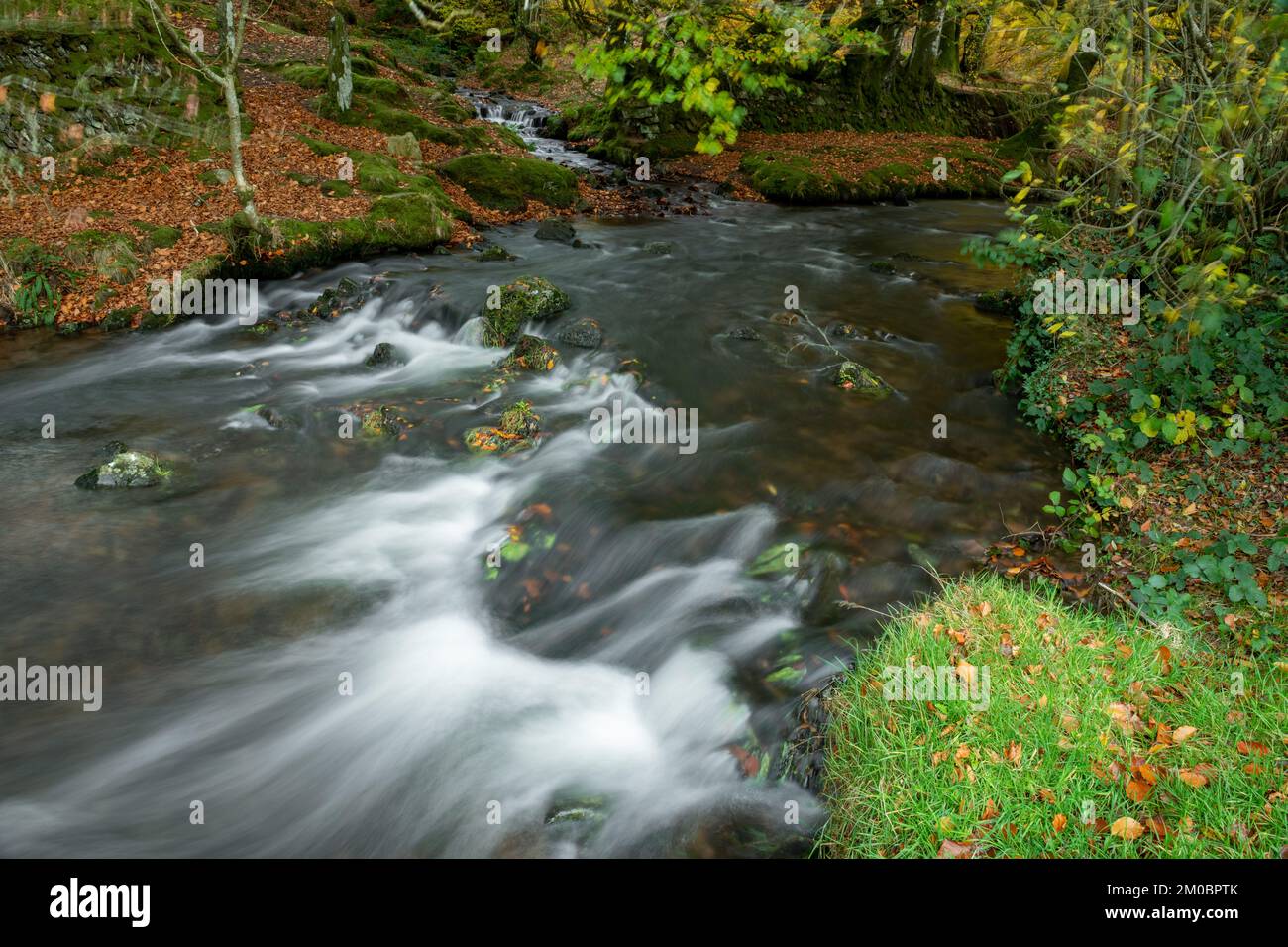 Long exposure of the Weir Water river flowing downstream of Robbers ...