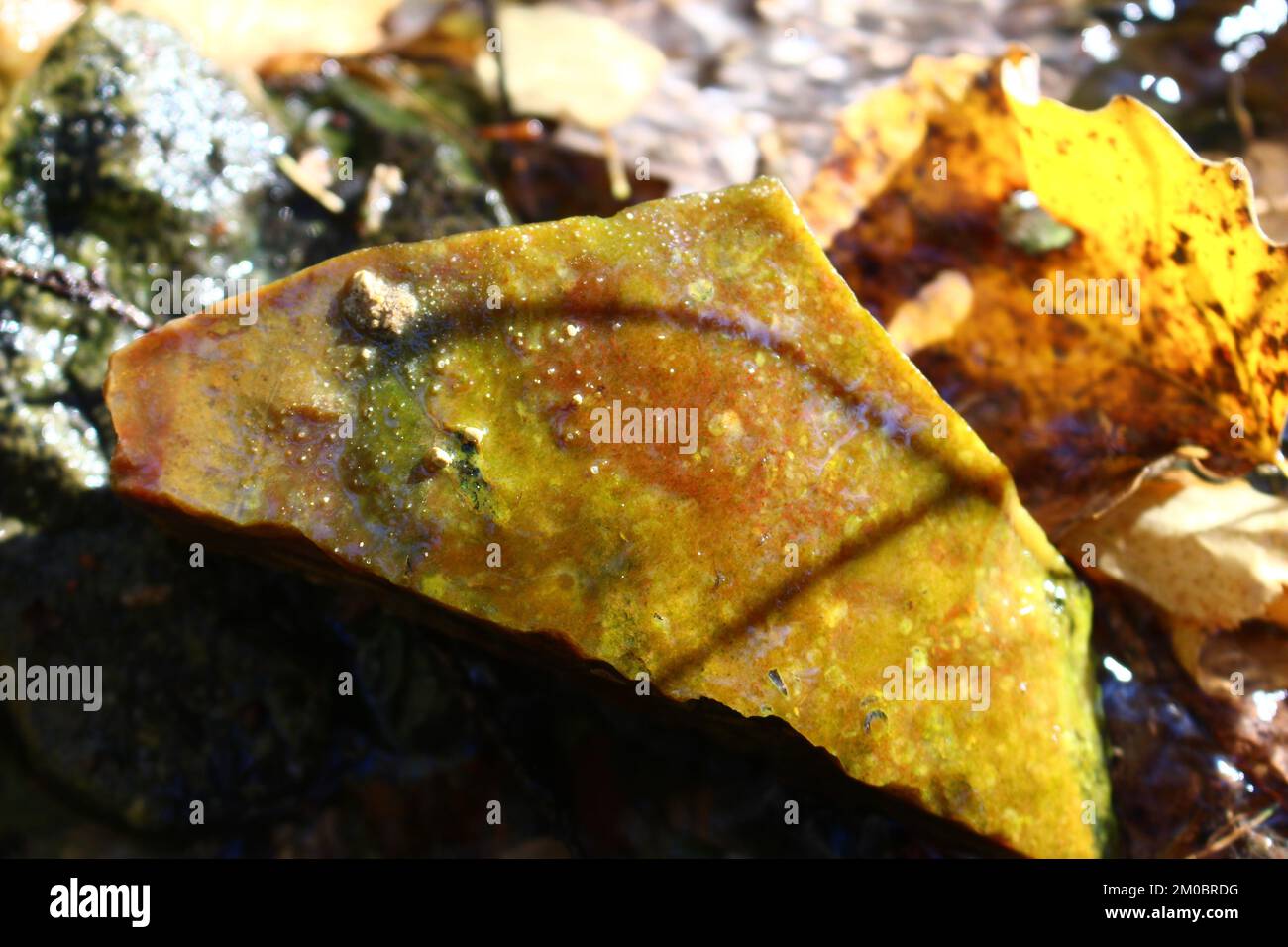 Bright yellow-orange flint saturated with iron oxides moistened with ...