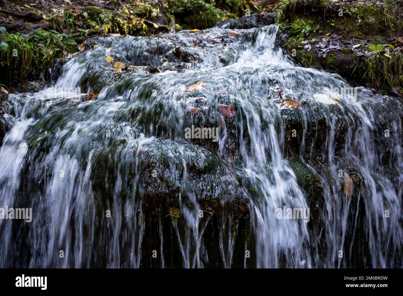 Close-up view of the water of a small forest stream running down the ...