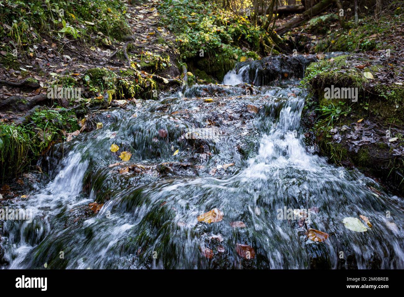 Close-up view of the water of a small forest stream running down the ...