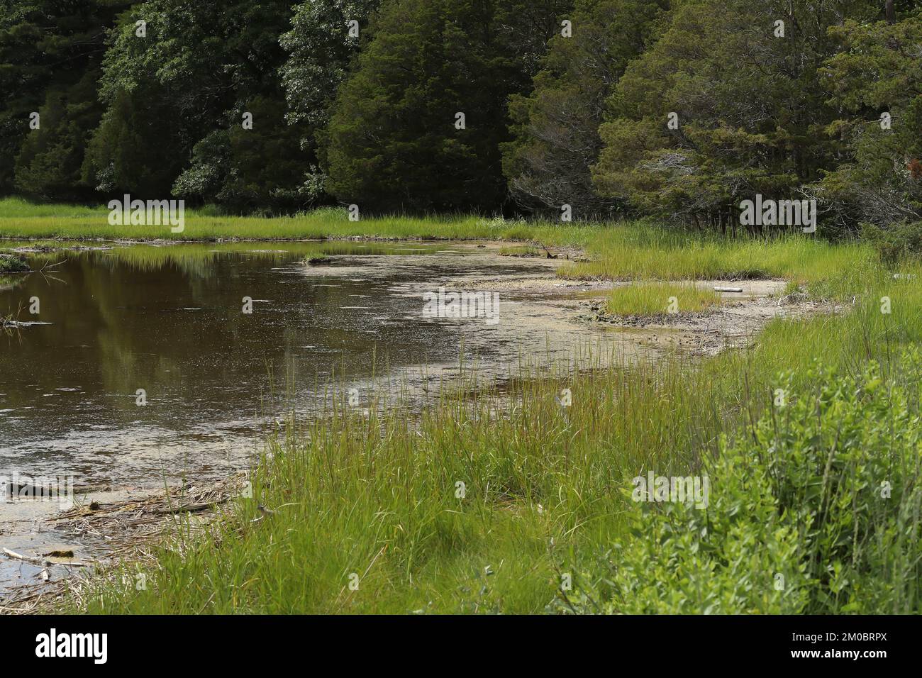 Located in Durham, NH. It is a wider and deeper channel of water ...