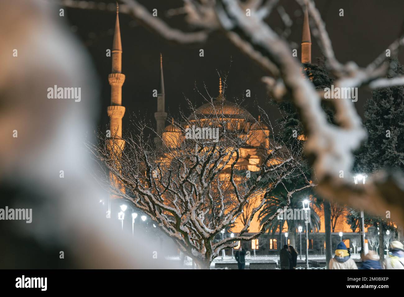 Sultanahmet Mosque and snow capped branches of a tree. Istanbul in ...