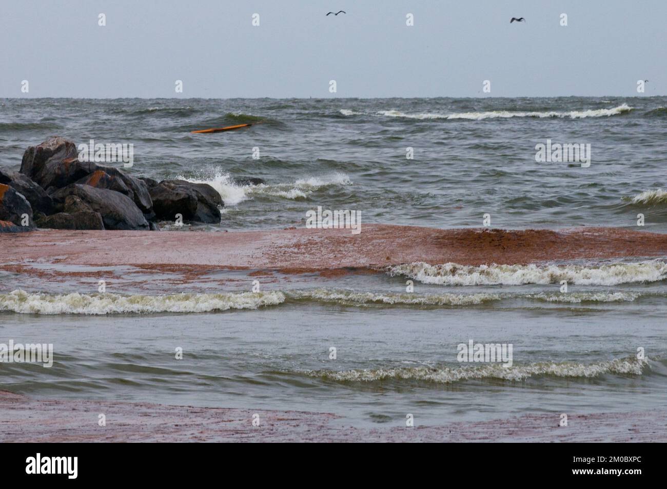 Office of the Administrator (Lisa P. Jackson) - Various Images (BP Oil Spill) - USEPA photo by ...