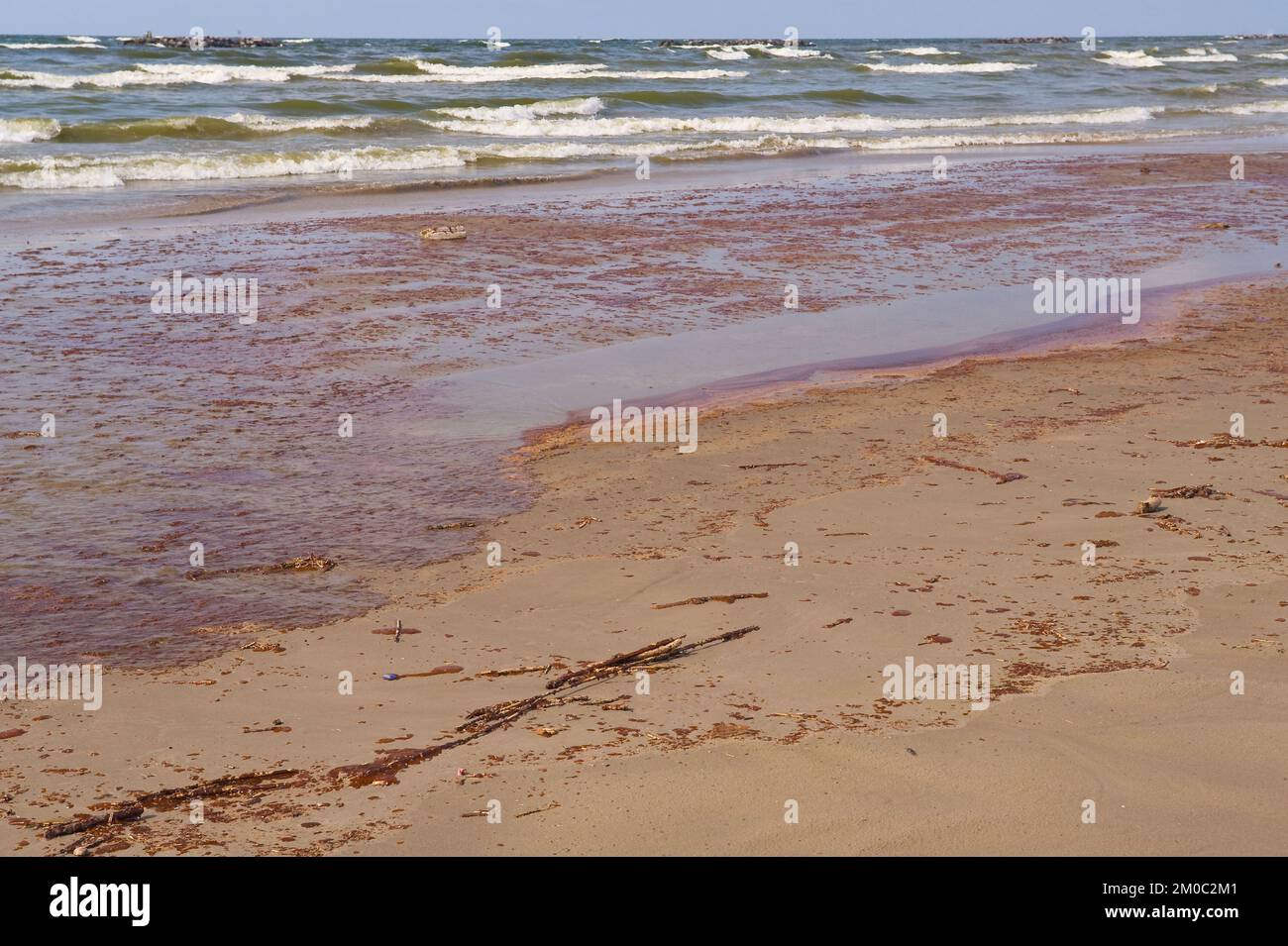 Office of the Administrator (Lisa P. Jackson) - Grand Isle (BP Oil ...