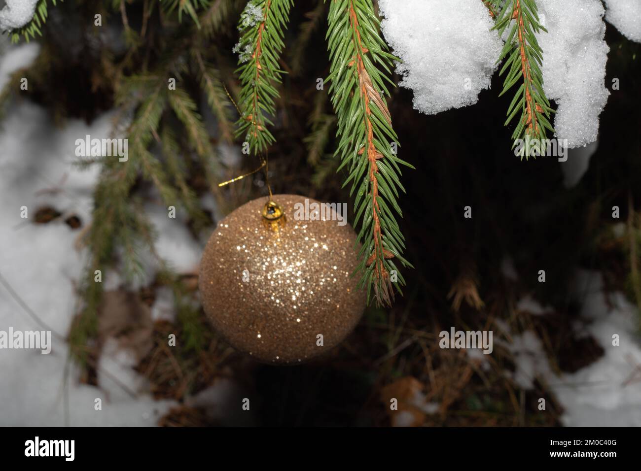 photo toy on a branch in the woods Stock Photo - Alamy