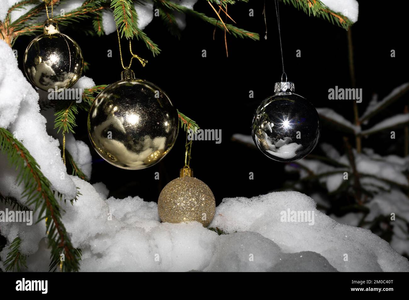 photo holiday toys round shaped hanging on the green branch of a fir ...