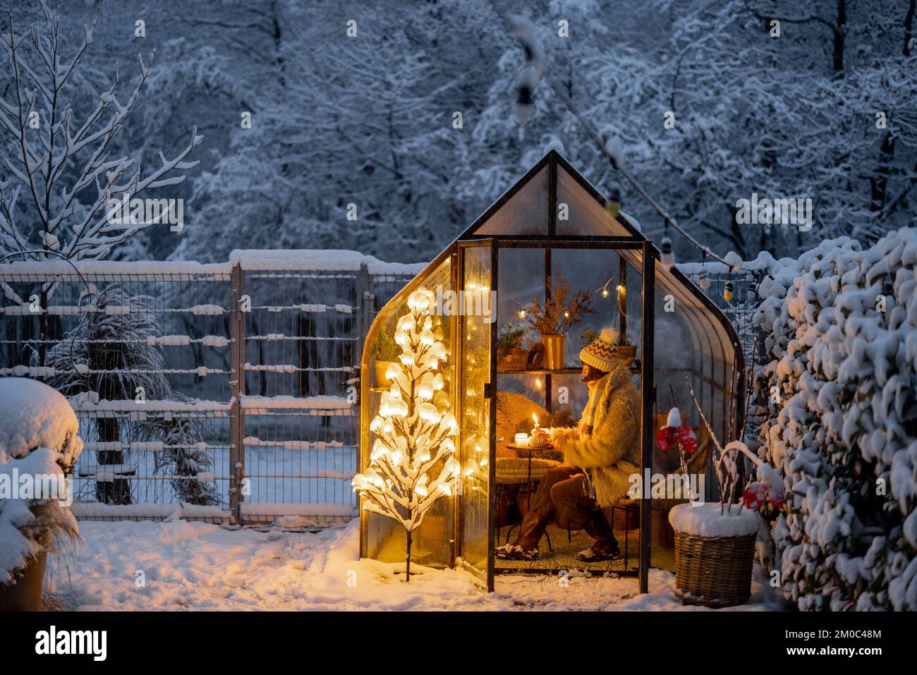 Snowy yard with glasshouse and glowing tree graland Stock Photo - Alamy