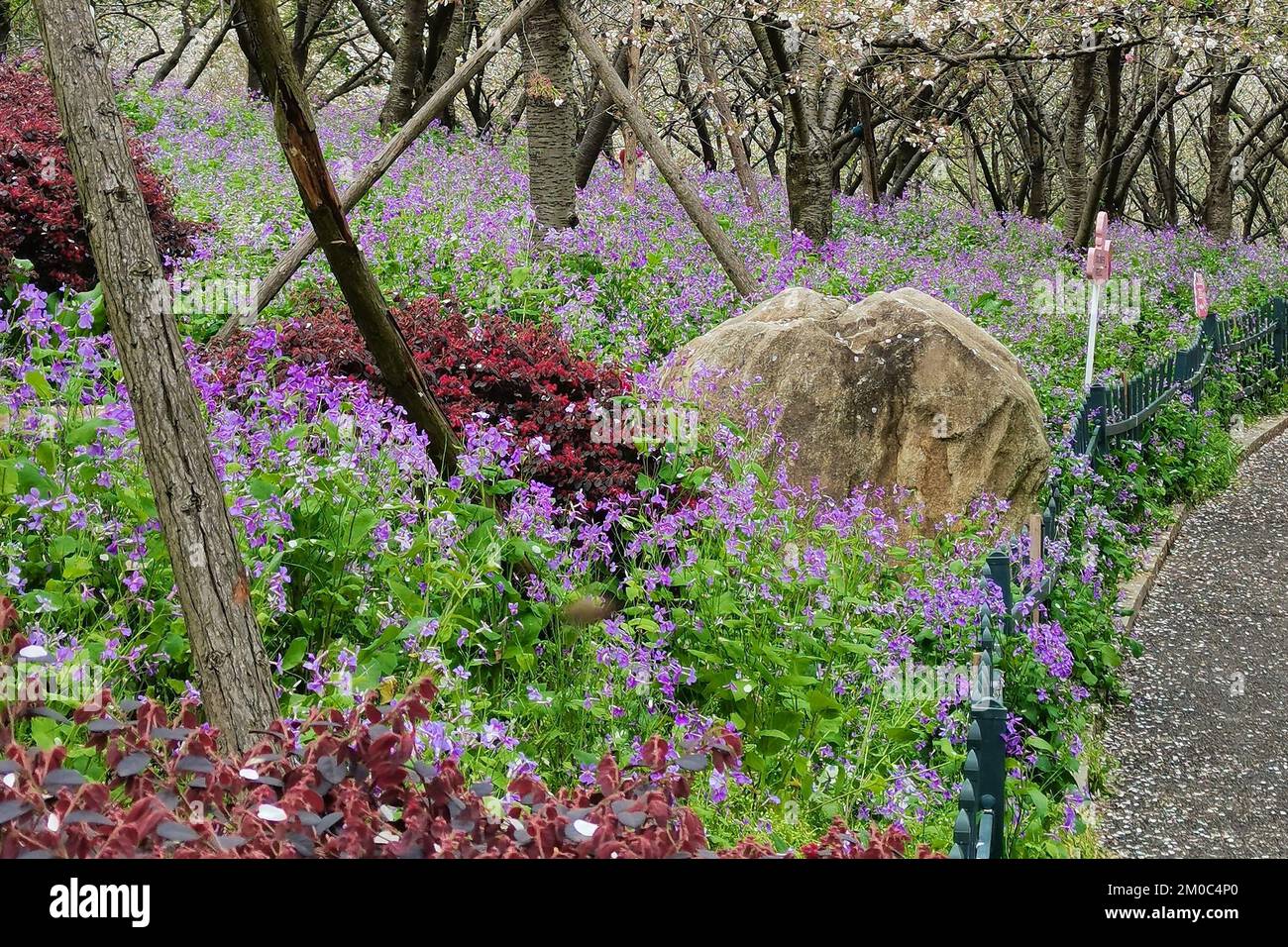 The beautiful spring scene in the park Stock Photo - Alamy