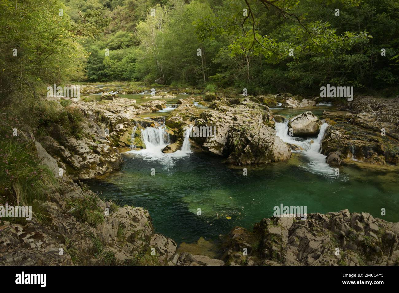 landscape of a mountain river with turquoise water surrounded by trees ...