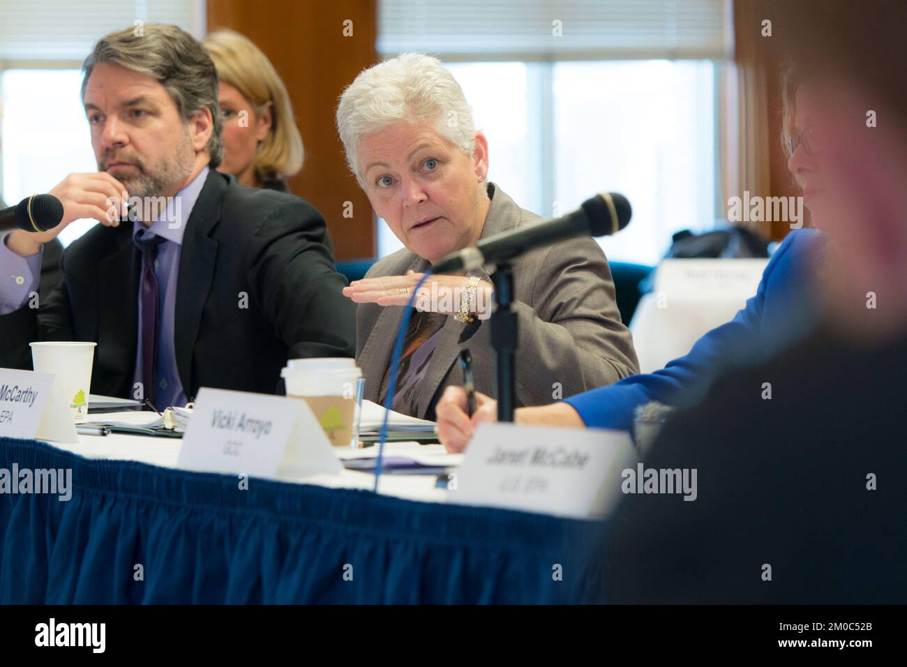 Office of the Administrator - Carbon Emission Standards , Environmental ...